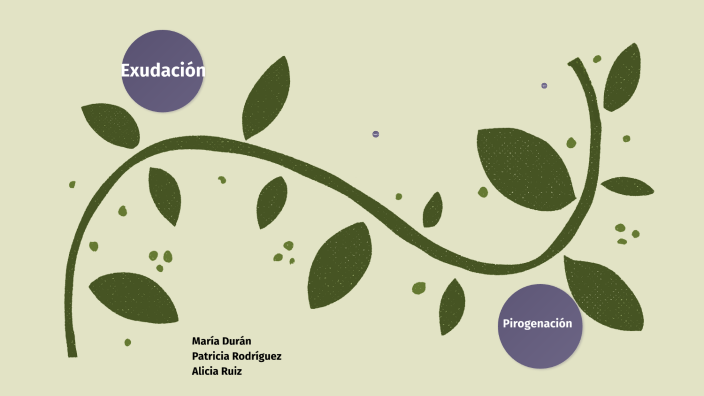 Exudación y pirogenación by patri rodriguez martin on Prezi