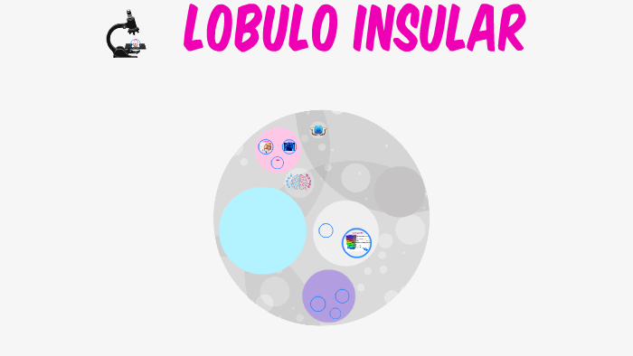 LOBULO INSULAR by Marialeja Aya Jaramillo on Prezi
