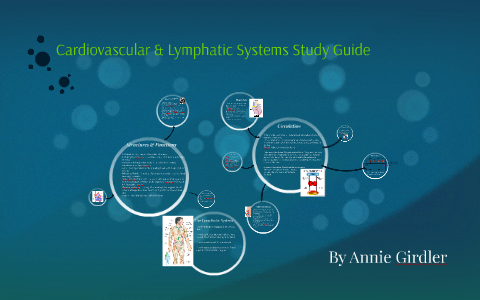 Cardiovascular & Lymphatic Systems Study Guide by Annie Girdler
