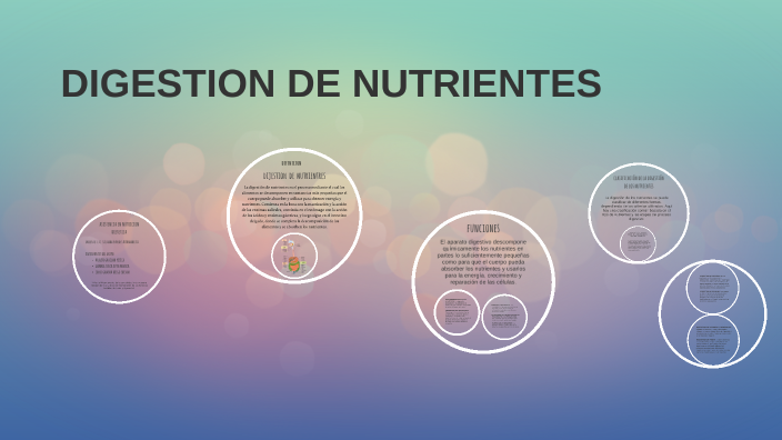 digestion de nutrientes by Ruth Gamboa on Prezi