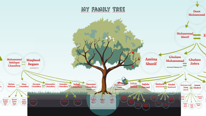 My Family Tree by on Prezi