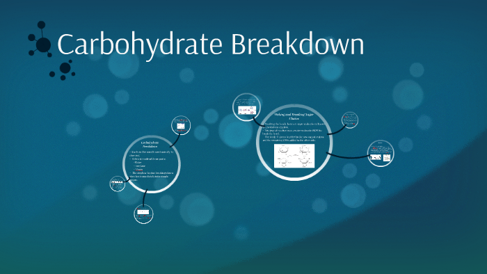 Carbohydrate Breakdown by Sean McManemy on Prezi