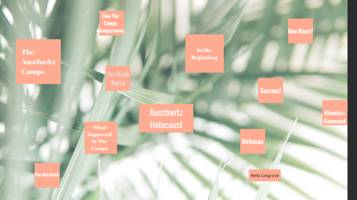 Holocaust Project by Bella Cosgrove on Prezi
