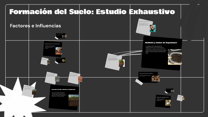 Formación del Suelo: Estudio Exhaustivo by Roy Fabricio Atanacio Arnedo ...