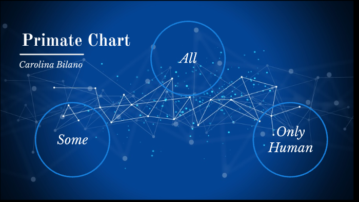 Primate Chart by Carolina Bilano on Prezi