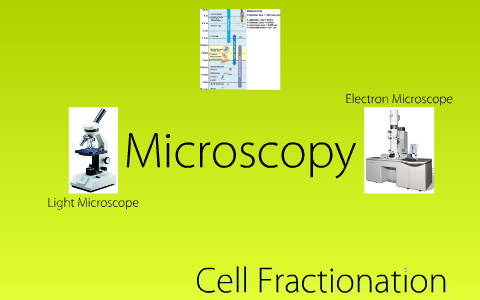 Microscopy and Cell Fractionation by Jessie Pollack on Prezi