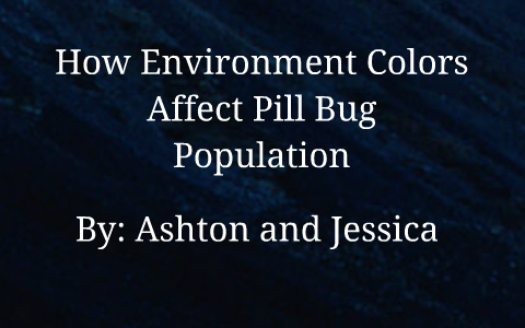 Scientific Method: Pill Bug Lab by on Prezi