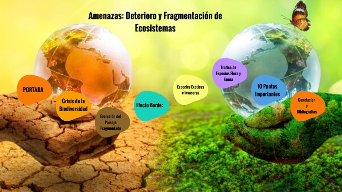 Amenazas: Deterioro y fragmentación de ecosistemas by Axel Nicolas ...