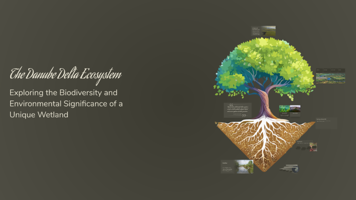 The Danube Delta Ecosystem by Ana Matia on Prezi