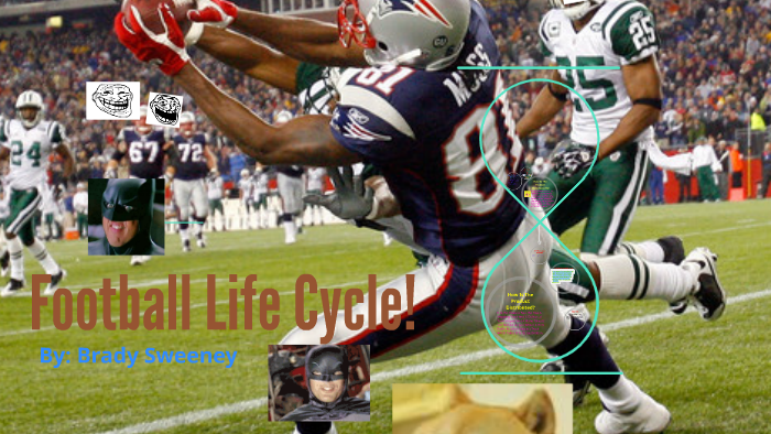 Football Life Cycle! by Brady Sweeney on Prezi