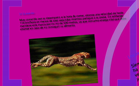 el movimiento en el reino animal by daniela beltran cortes on Prezi