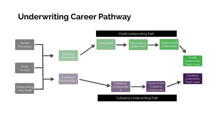 Underwriter Career Pathway by Diana Woodhams on Prezi
