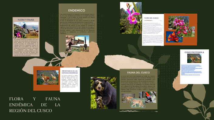 Flora y Fauna endémica del Cusco by VIZCARRA MAROCHO SOFIA SCARLETT on ...