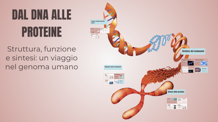 DAL DNA ALLE PROTEINE by Martina Ruiba on Prezi