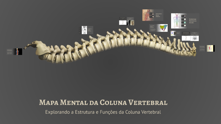 Mapa Mental da Coluna Vertebral by Ana Luiza on Prezi