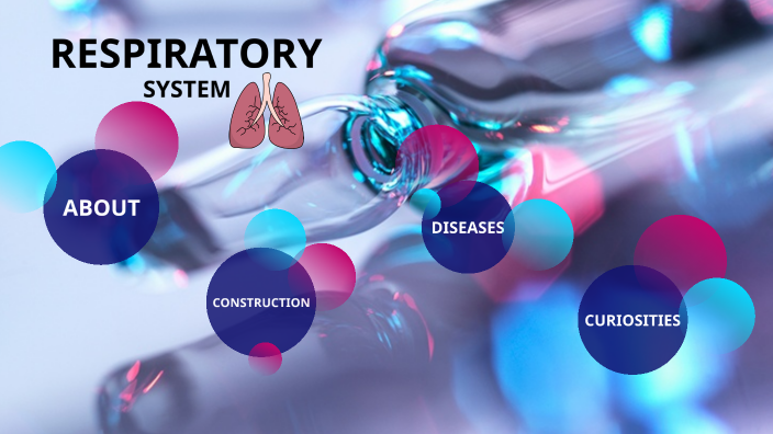 respiratory system by Julia on Prezi