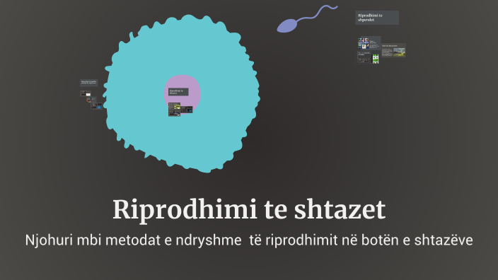Riprodhimi te Shtazet by Orhan Beqiri on Prezi