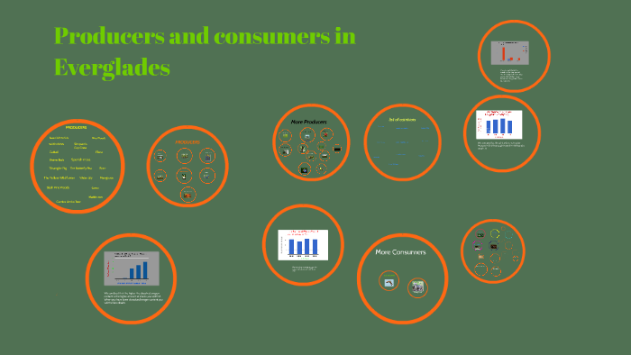 Producers and consumers in Everglades by Javier Meza on Prezi