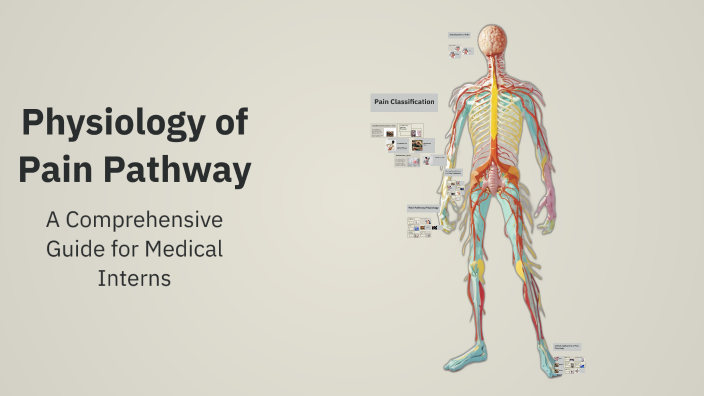 Physiology of Pain Pathway by jaideep singh arora on Prezi