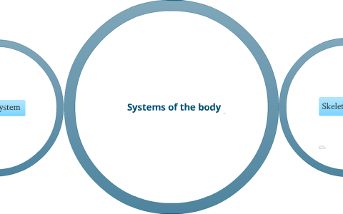 4 of the 10 body systems by Gabrielle Blakely on Prezi