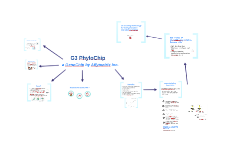G3 PhyloChip by Mackenzie L-R on Prezi