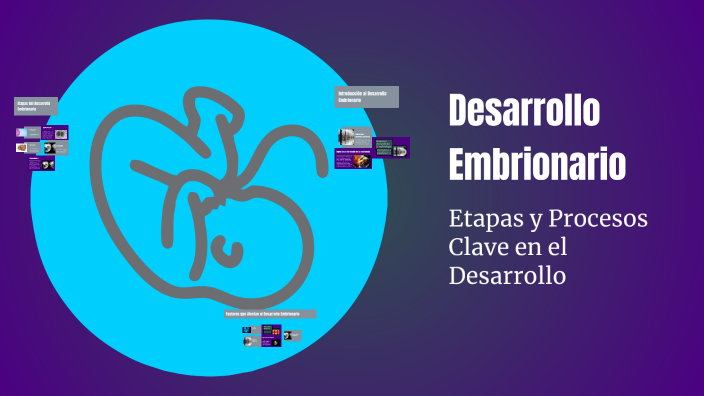 Desarrollo Embrionario by yerlin Alcántara Castillo on Prezi