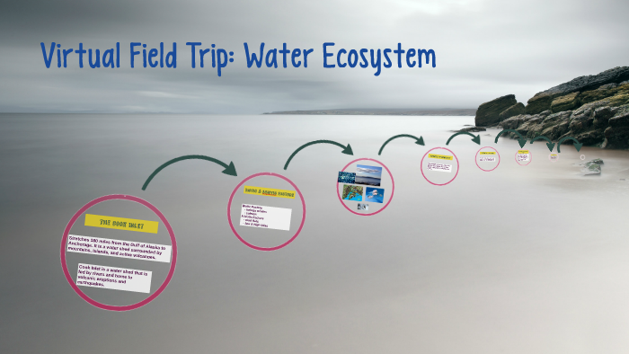 Virtual Field Trip: Water Ecosystem by Rachel White on Prezi