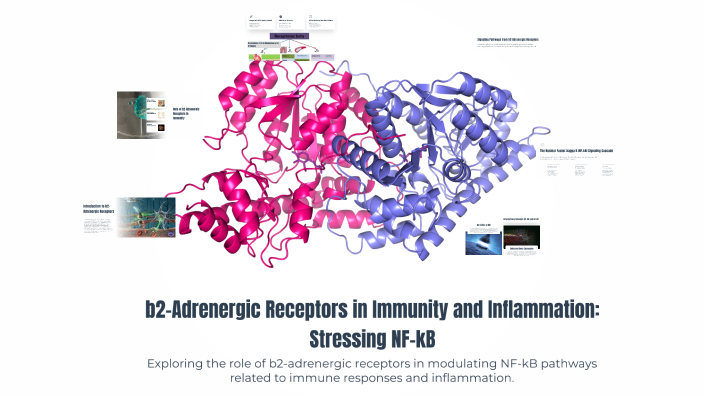 b2-Adrenergic Receptors in Immunity and Inflammation: Stressing NF-kB ...