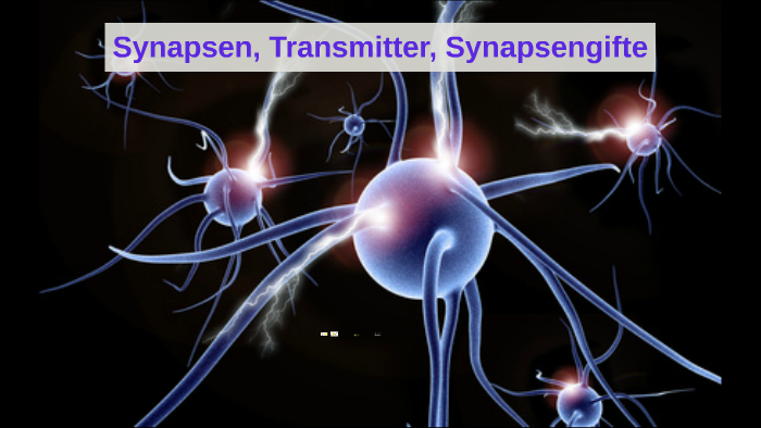 Synapsen, Transmitter, Synapsengifte by Markus Walper on Prezi