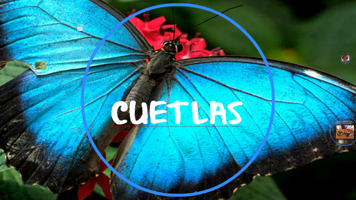 CUETLAS by Sandy H
