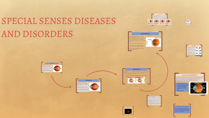 SPECIAL SENSES DISEASES AND DISSORDERS by Katelyn Elliott on Prezi