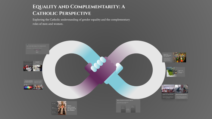 Equality and Complementarity: A Catholic Perspective by Balsamus Pieter ...