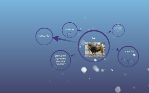 lion by Jason Bua on Prezi