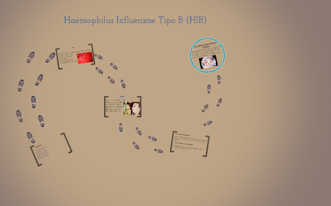 Haemophilus Influenzae Tipo B (HIB) by Teresa Leal Silva on Prezi