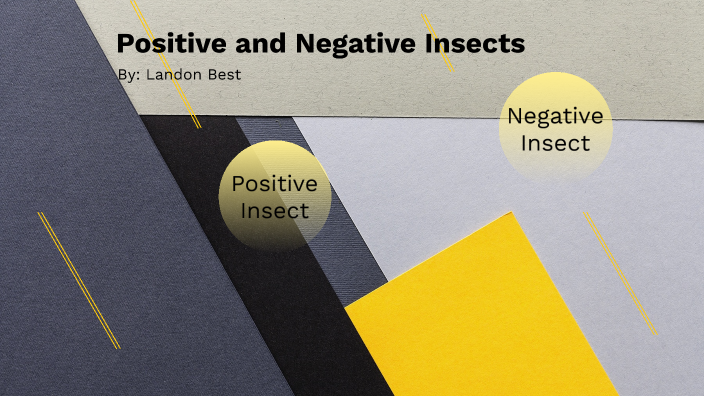 Positive and negative insects by Landon Best on Prezi