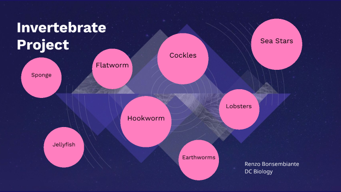 Invertebrate Project by Renzo Bonsembiante on Prezi