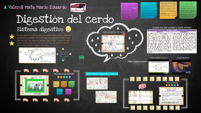 Digestión del cerdo by Mario Mata on Prezi