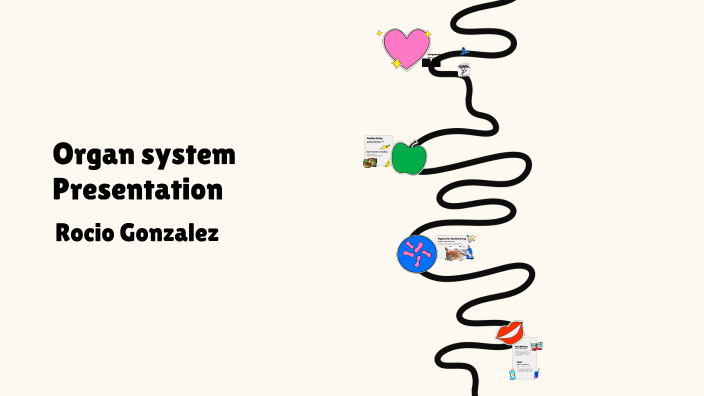 Organ system Presentation by rocio gonzalez on Prezi