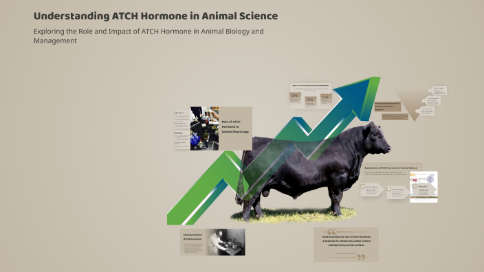 Understanding ATCH Hormone in Animal Science by Kaitlin Dinkle on Prezi