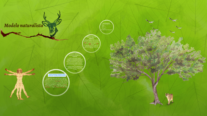 Modelo naturalista by jean pierre on Prezi