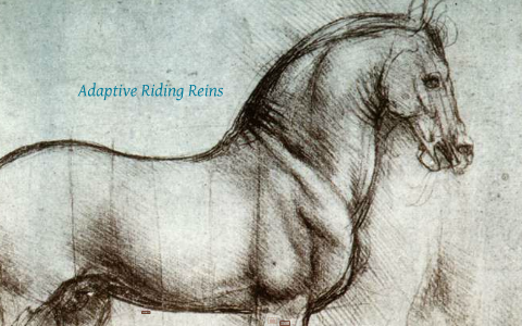 Adaptive Riding Equipment: Reins by Sarah Merling on Prezi