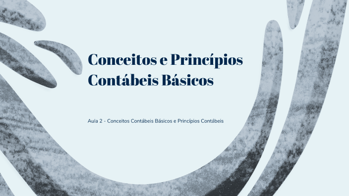 Conceitos e Princípios Contábeis Básicos by TONI DOMINGUES DA SILVA on ...