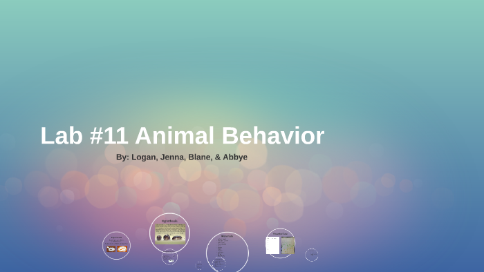 Lab #11 Animal Behavior by Abbye Cox on Prezi