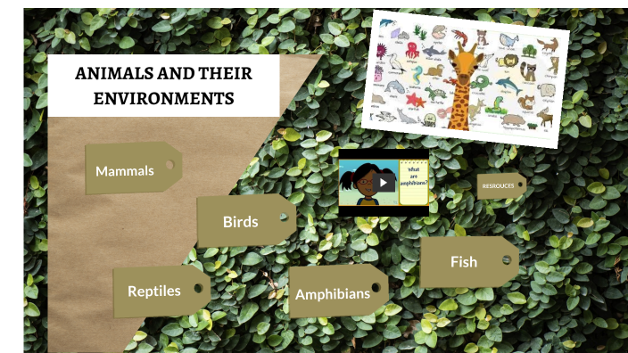 ANIMALS AND THEIR ENVIRONMENTS by Julianna Benton on Prezi