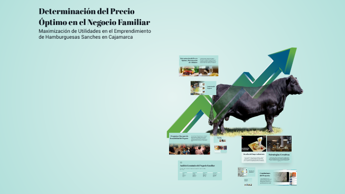 Determinación del Precio Óptimo en el Negocio Familiar by Luis ...