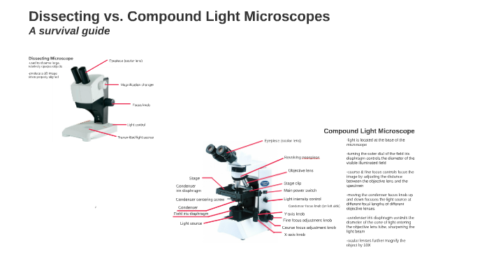 Dissecting vs. Compound Light Microscopes by Emily Hadley on Prezi
