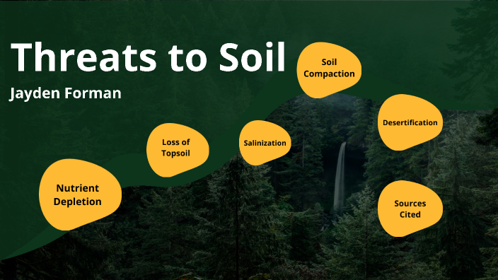 Module Two Lesson Two Assignment Two - Jayden Forman by Jayden Forman ...