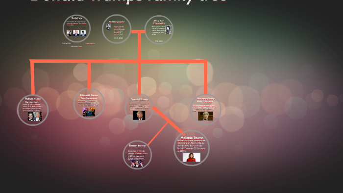 Donald Trumps family tree by Muhammad Waleed on Prezi