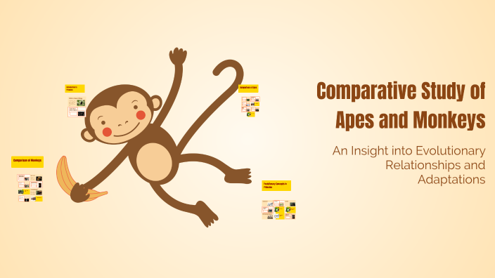 Comparative Study of Apes and Monkeys by Christopher Murphy on Prezi
