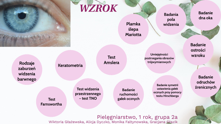 zmysł wzroku by Wiktoria Głażewska on Prezi